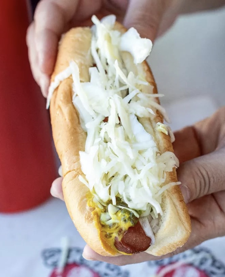 Hot-Dog-o-Pedia | The Ultimate Guide to Global Hot Dog Styles